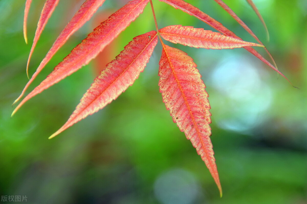 The most soft of the world, the most solid of galloping the world.No room for nowhere - iMedia