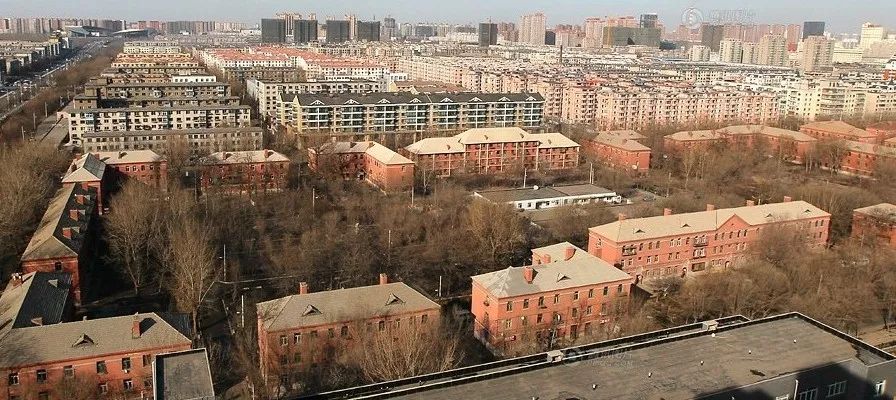 Shenyang, chicken killer - iNEWS