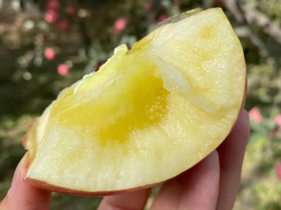 Chenyi Story: Xinjiang Aksu Apples——Why do you have to eat Aksu once ...