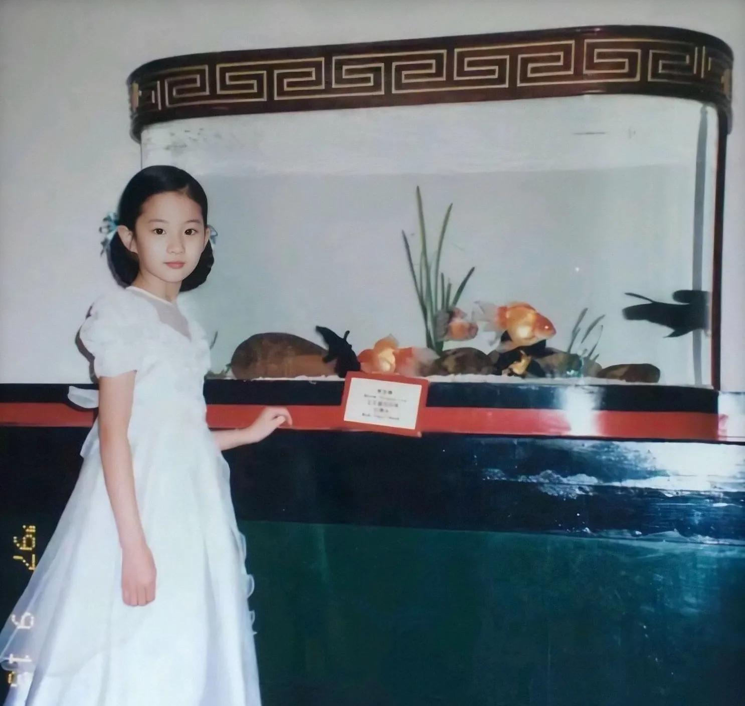 Liu Yifei's "fairy mother" Liu Xiaoli, married and divorced, committed ...