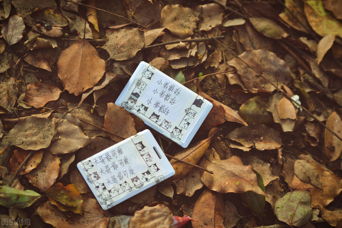 Wang Xiaobo's "Golden Age": Life is dull, only those who appreciate ...