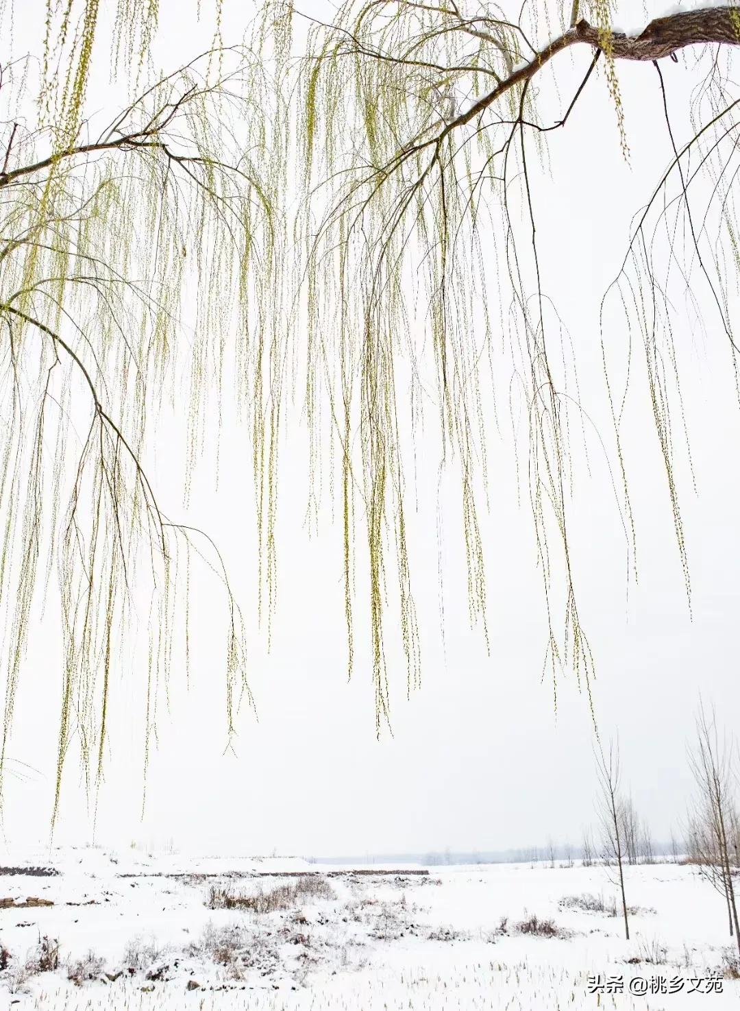 "Poetry" Li Jianping: A Letter to Winter - iNEWS