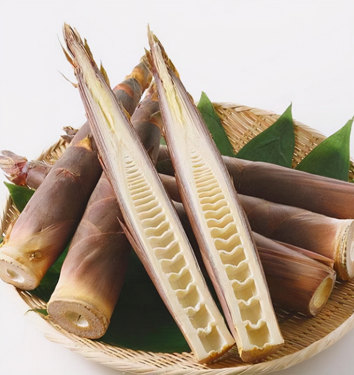 Are there any square bamboo shoots?The first fresh bamboo shoot from ...