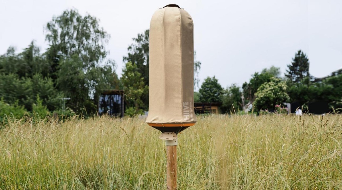 Witness the innovative demeanor of young inventors: the 2021 Dyson ...