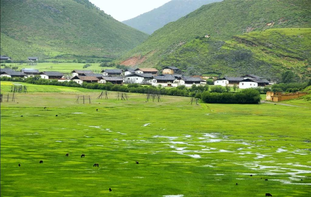 Napa Sea, Yunnan: The lake is on the grassland and the grassland is in ...
