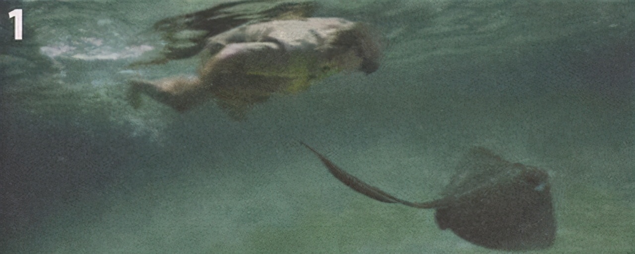 Rare leather-stingray (pearl fish skin) - iNEWS