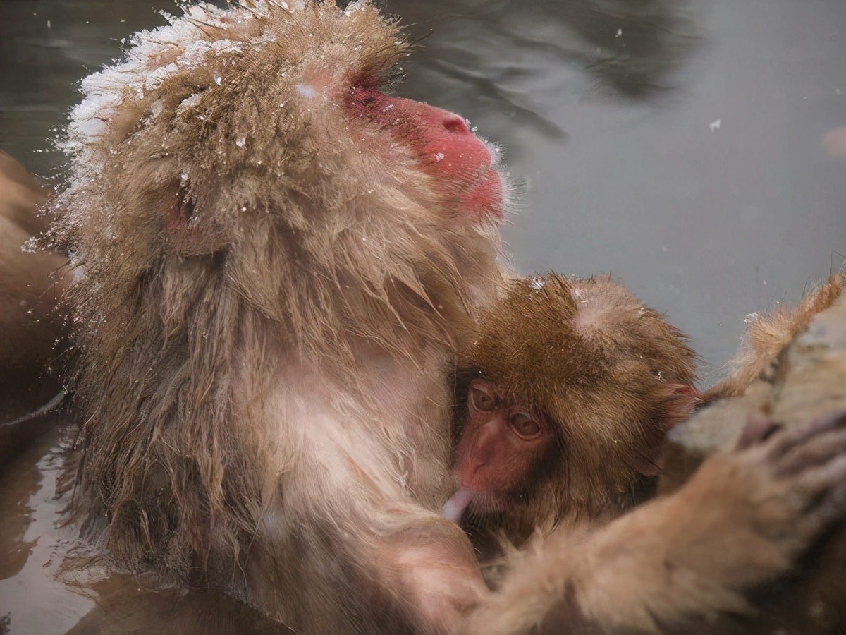 What is an example of how nature can be so cruel? - iNEWS