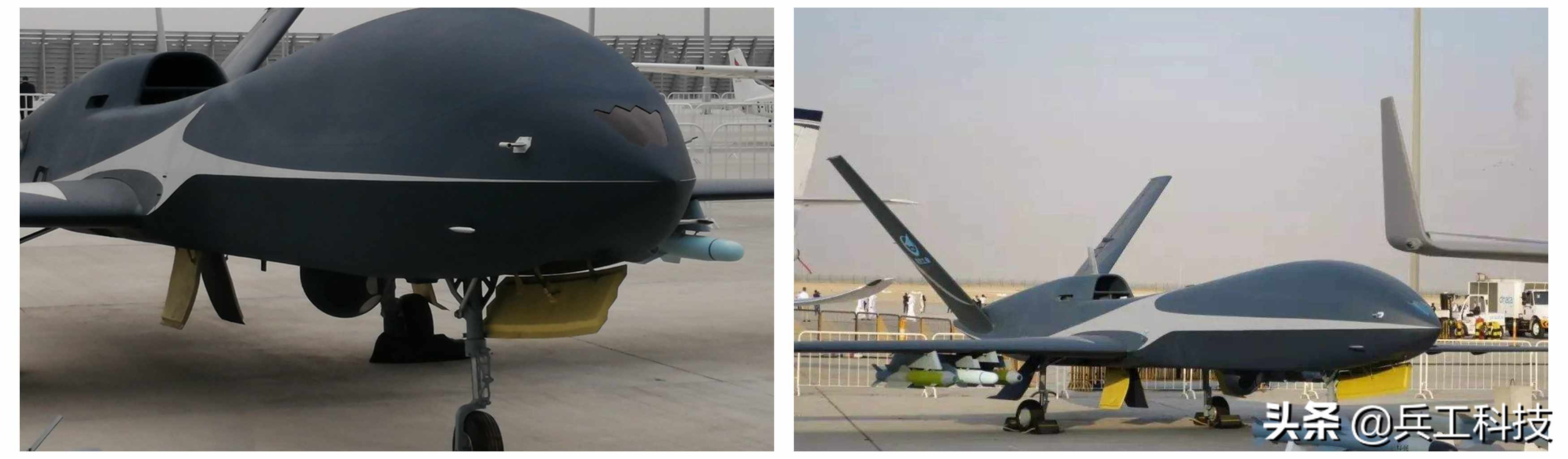 "Wind and Cloud" will fly in the sky-Detailed explanation of "Pterosaur ...