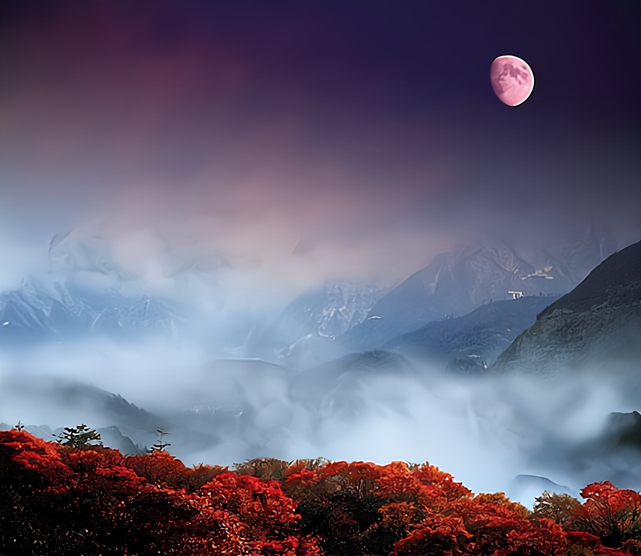 Sacrifice to the moon, admire the moon, and worship the moon: How many ...