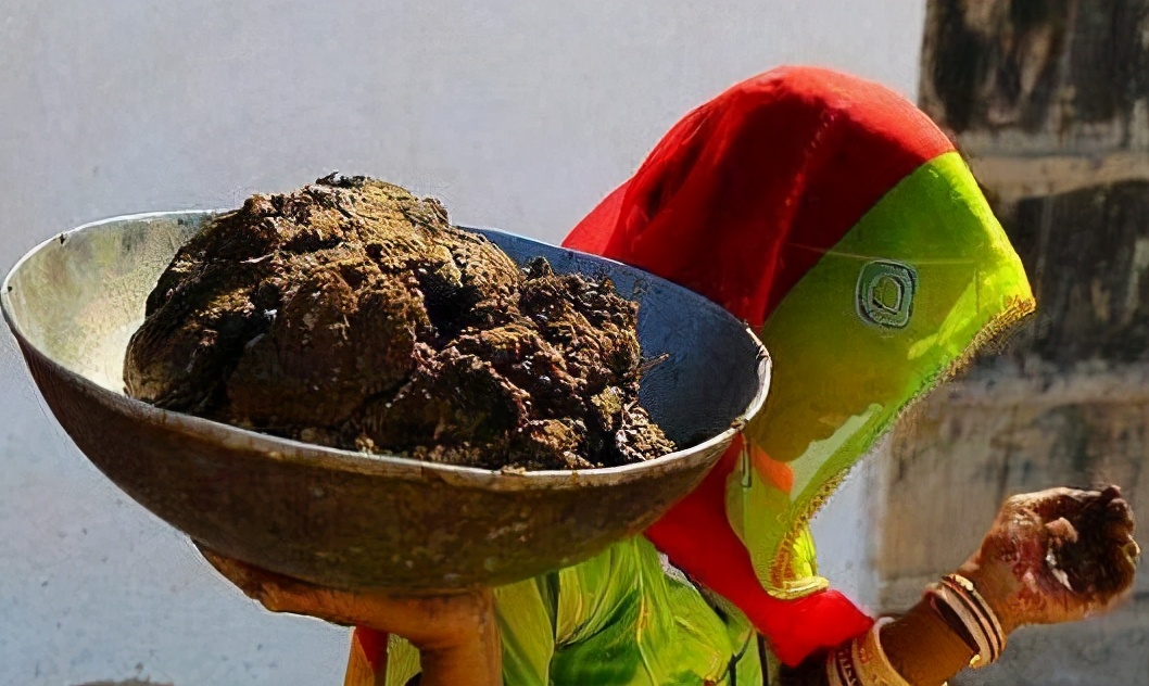 How wonderful is the magical Indian cow dung culture, cow dung GDP ...