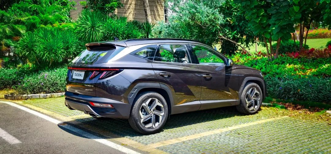 Debut is the pinnacle, and together we welcome the excellent experience ...