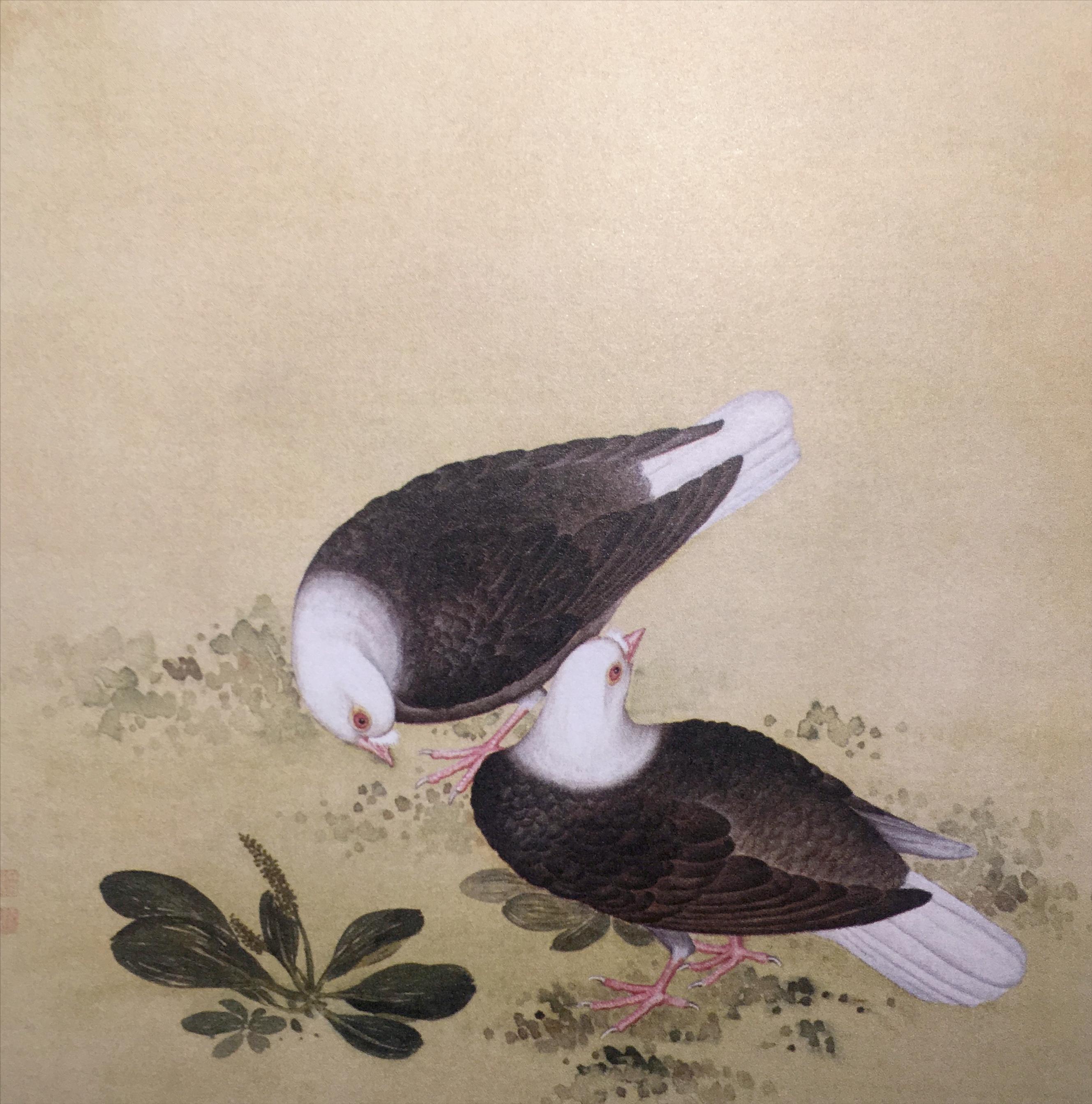 Ten Rules of Dynamic Pigeon Identification - iNEWS