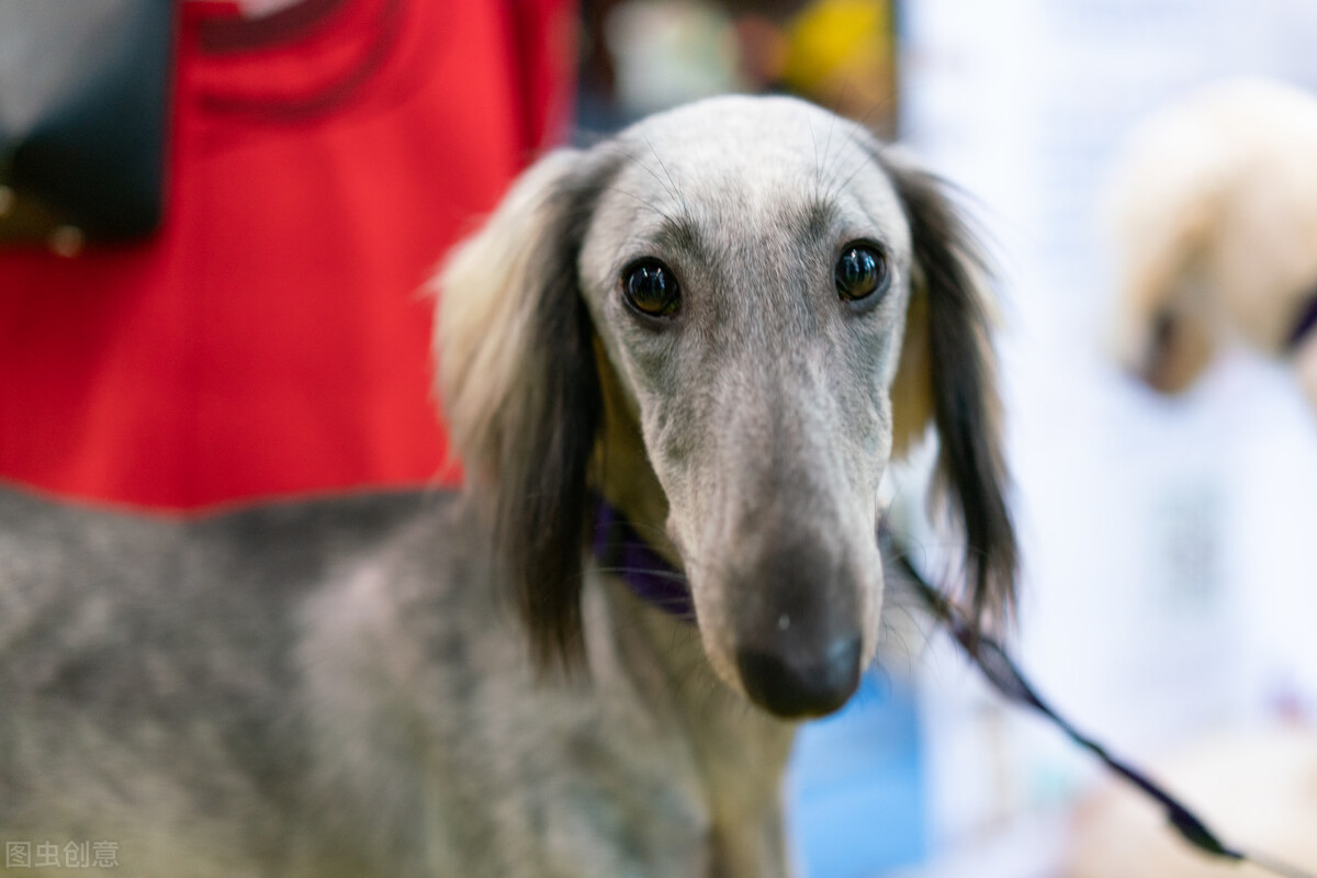 In the myth, Erlang sits down on the beast, and the ancient majestic ...