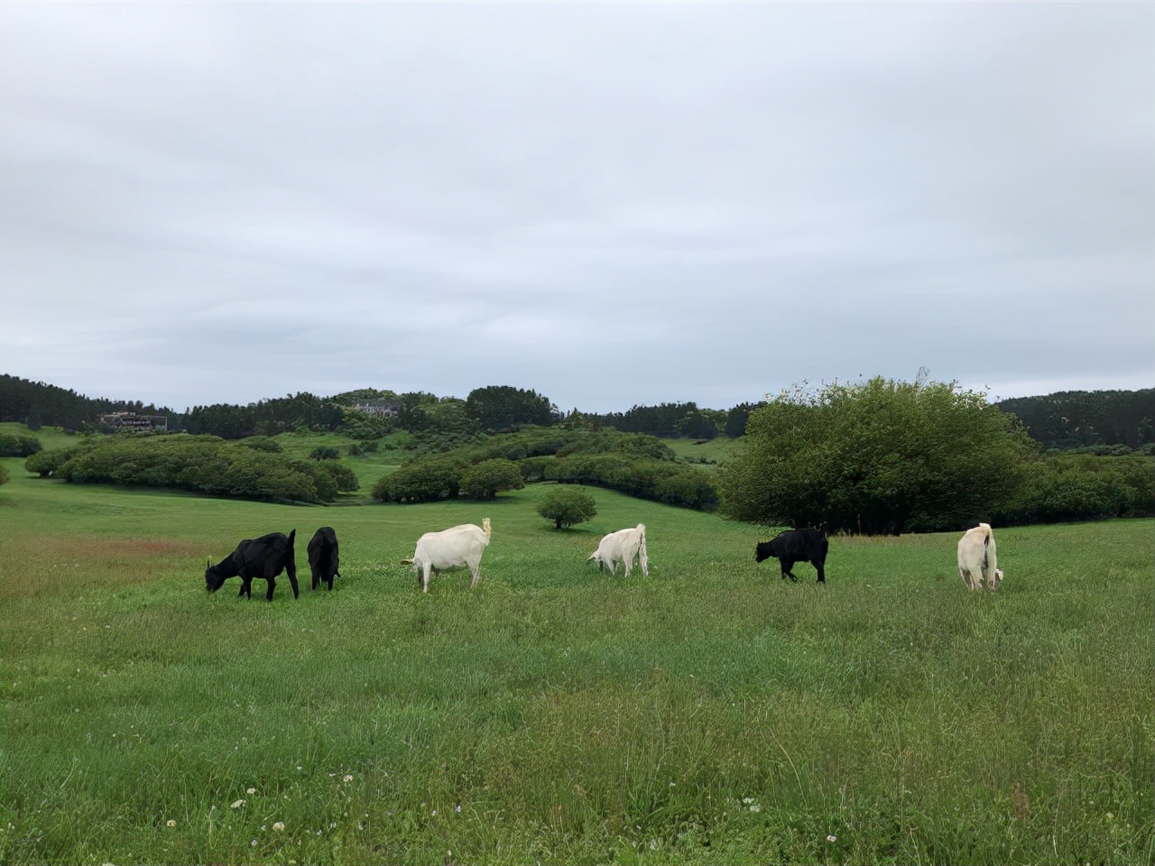 Wulong Tiankeng + Fairy Mountain + Wuling Mountain Great Rift Valley 2 ...