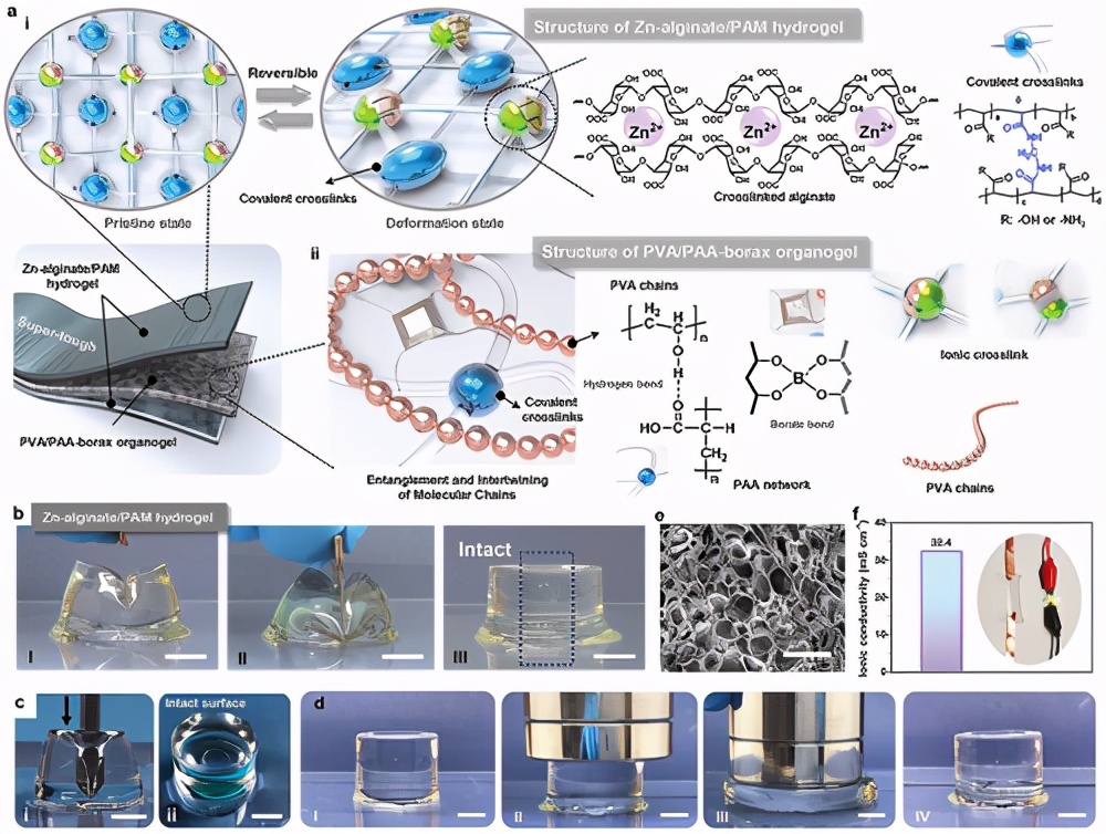 Ultra-stable, dynamic ultra-tough hydrogel-organogel capacitive strain ...