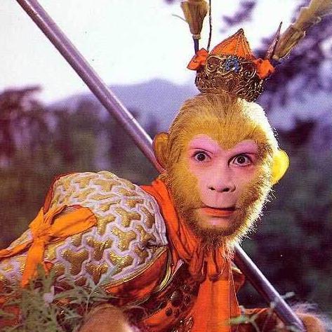 Why does Sun Wukong only wear tiger skin skirts and not invulnerable ...