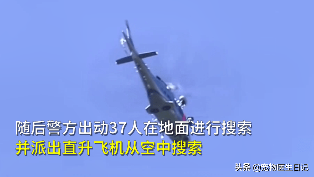 The Japanese police dog named Jiro lost himself while searching for the ...