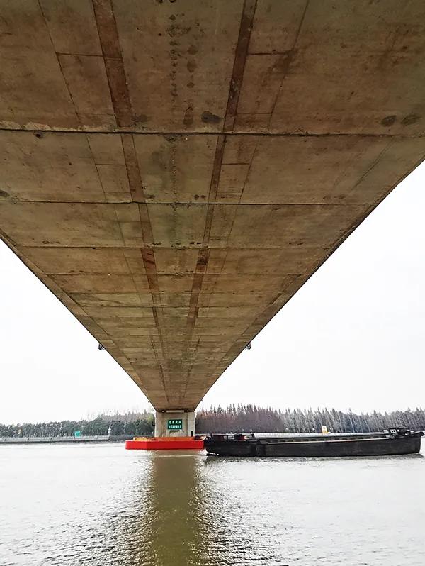 Jinmen.com Chen Yingguo: Shanghai's bridge - iNEWS