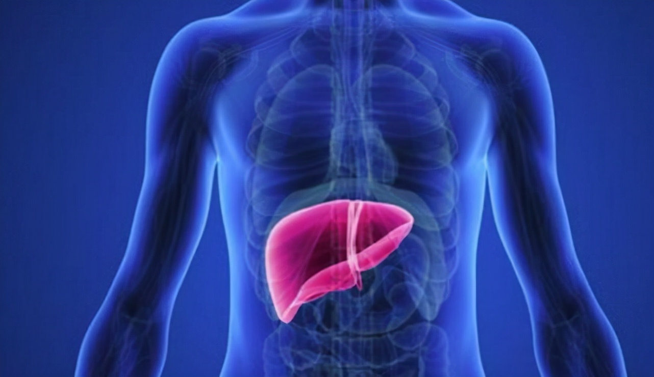 It is the most useless organ of the human body. It hurts and kills ...