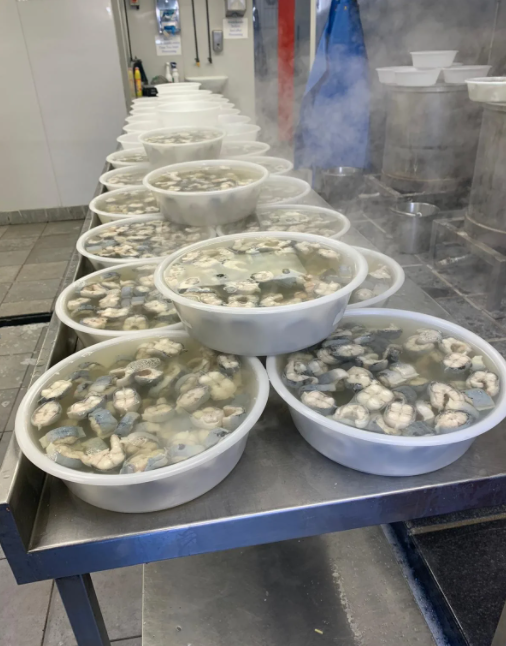 How did you make this thing so unpalatable? British dark cuisine eel ...