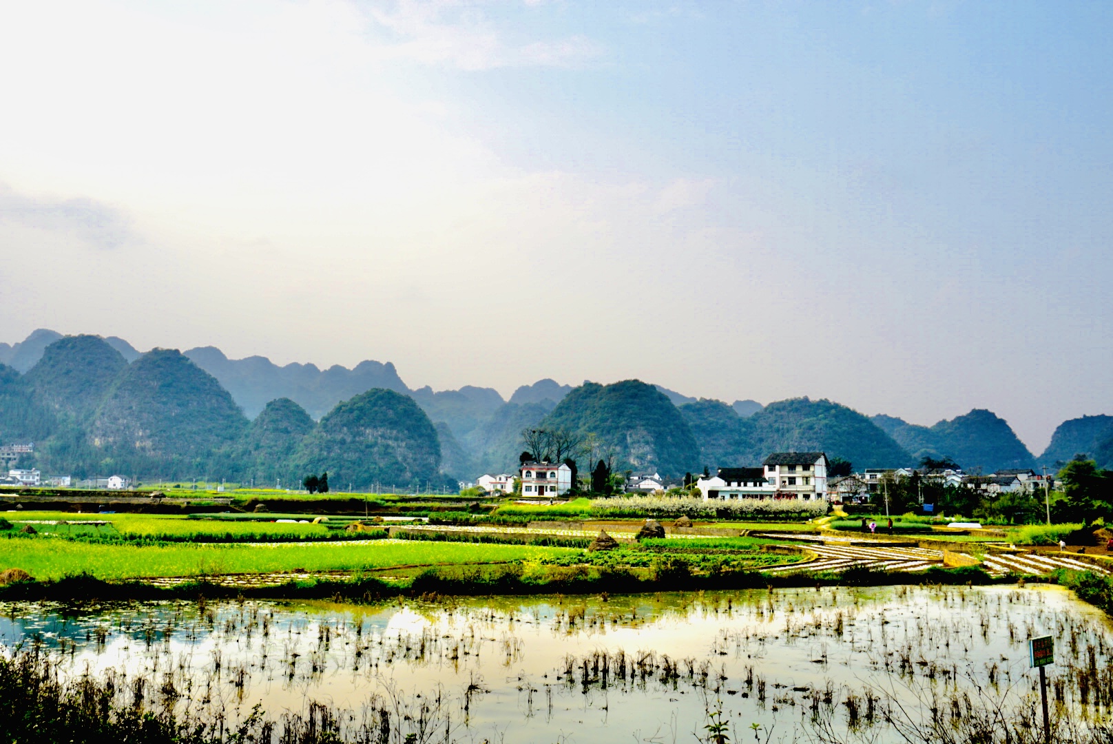 I said the issue of Tsing Wan Fenglin, it is not negative. - iNEWS