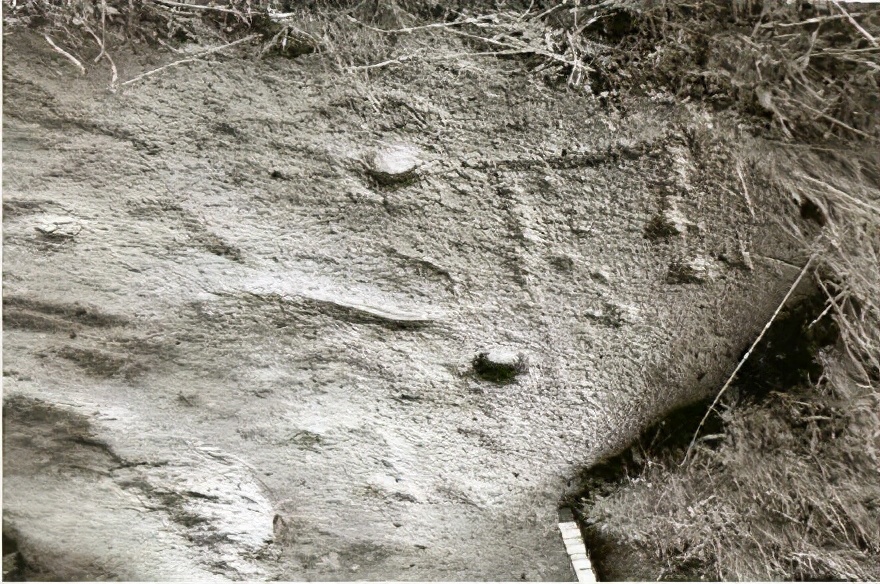 Exploring the Mystery of Xinzheng Gu Cishan——The Book of Heaven - iMedia