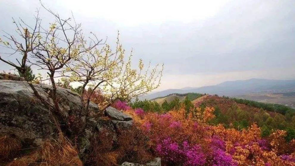 Houmingshan Village, Funing District, Qinhuangdao City - iNEWS