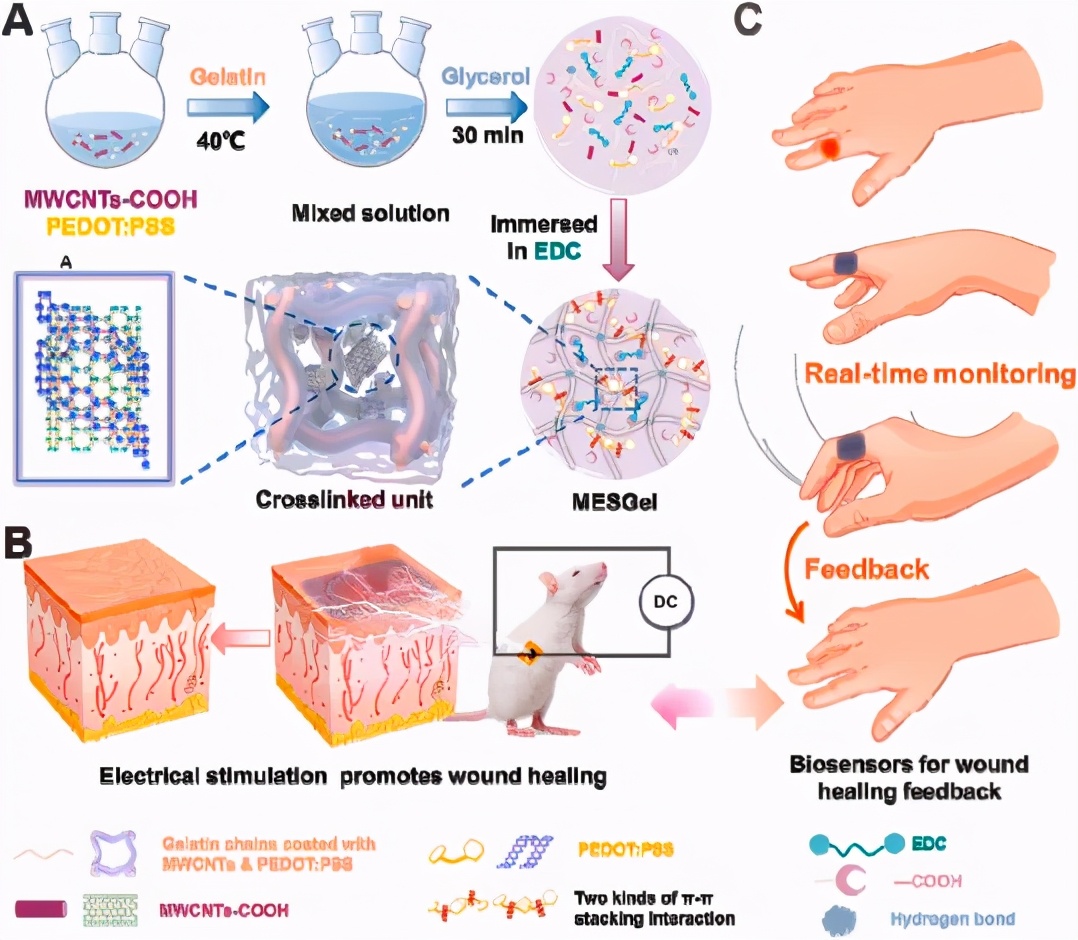 Skin-inspired flexible bio-electronic gelatin hydrogel, used to promote ...