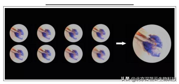 Echo Rebel microscope-making the impossible possible - iMedia