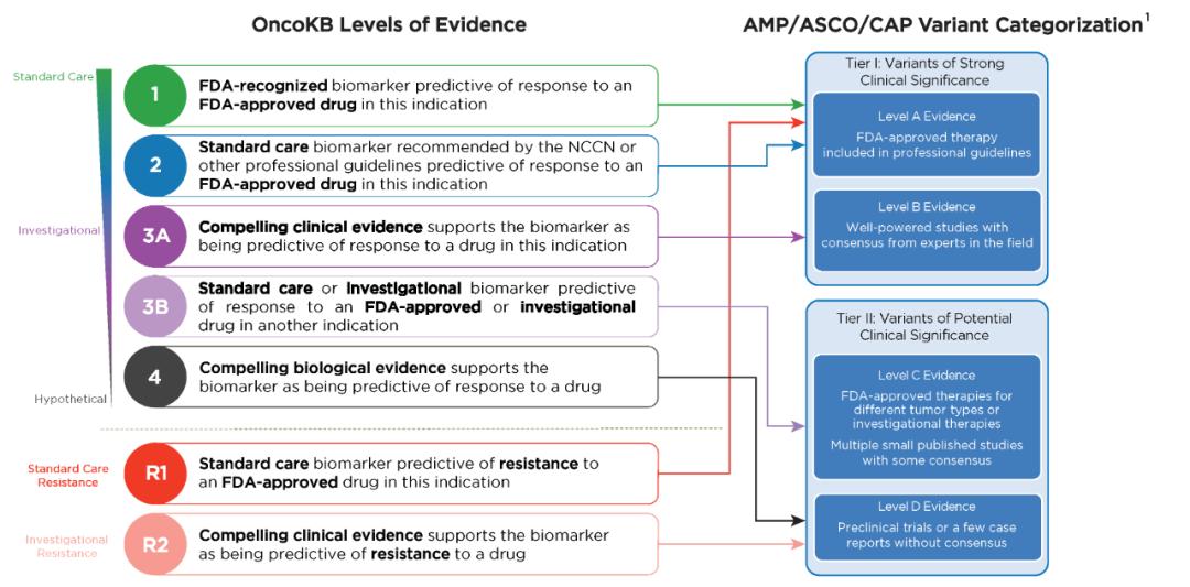 OncoKB-MSK oncology knowledge base obtains FDA approval - iNEWS