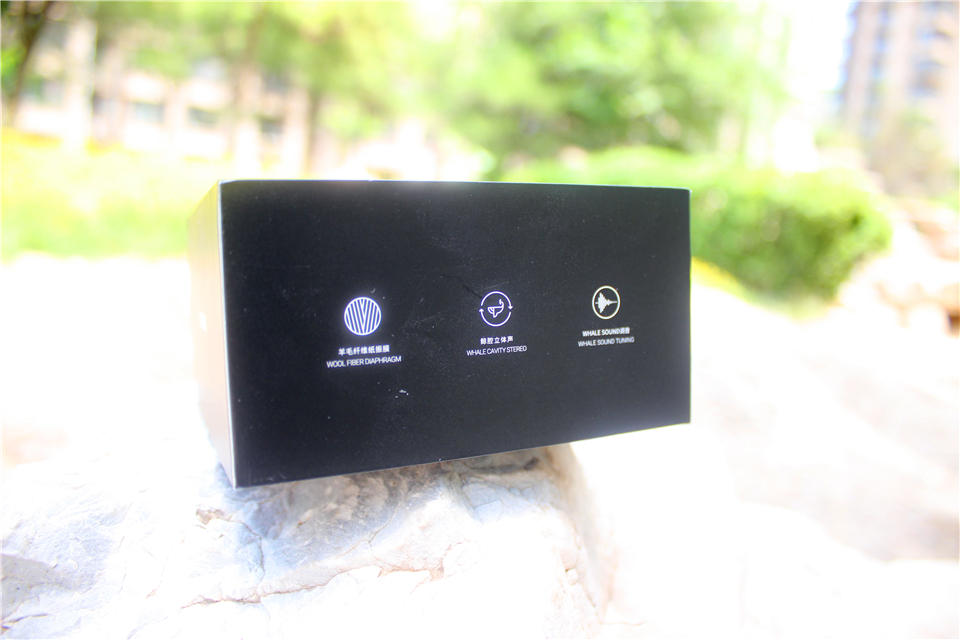 Bionic whale cavity stereo blessing, what surprises will Turas G10 ...