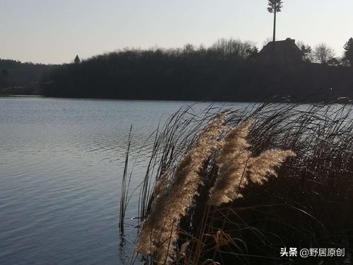 Original seven-character poem "Xia Yan" - iMedia