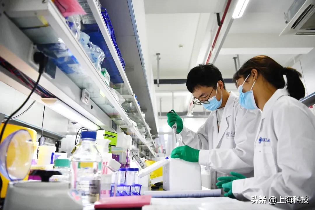 In the research institute of Magic City, researchers and viruses "fight ...