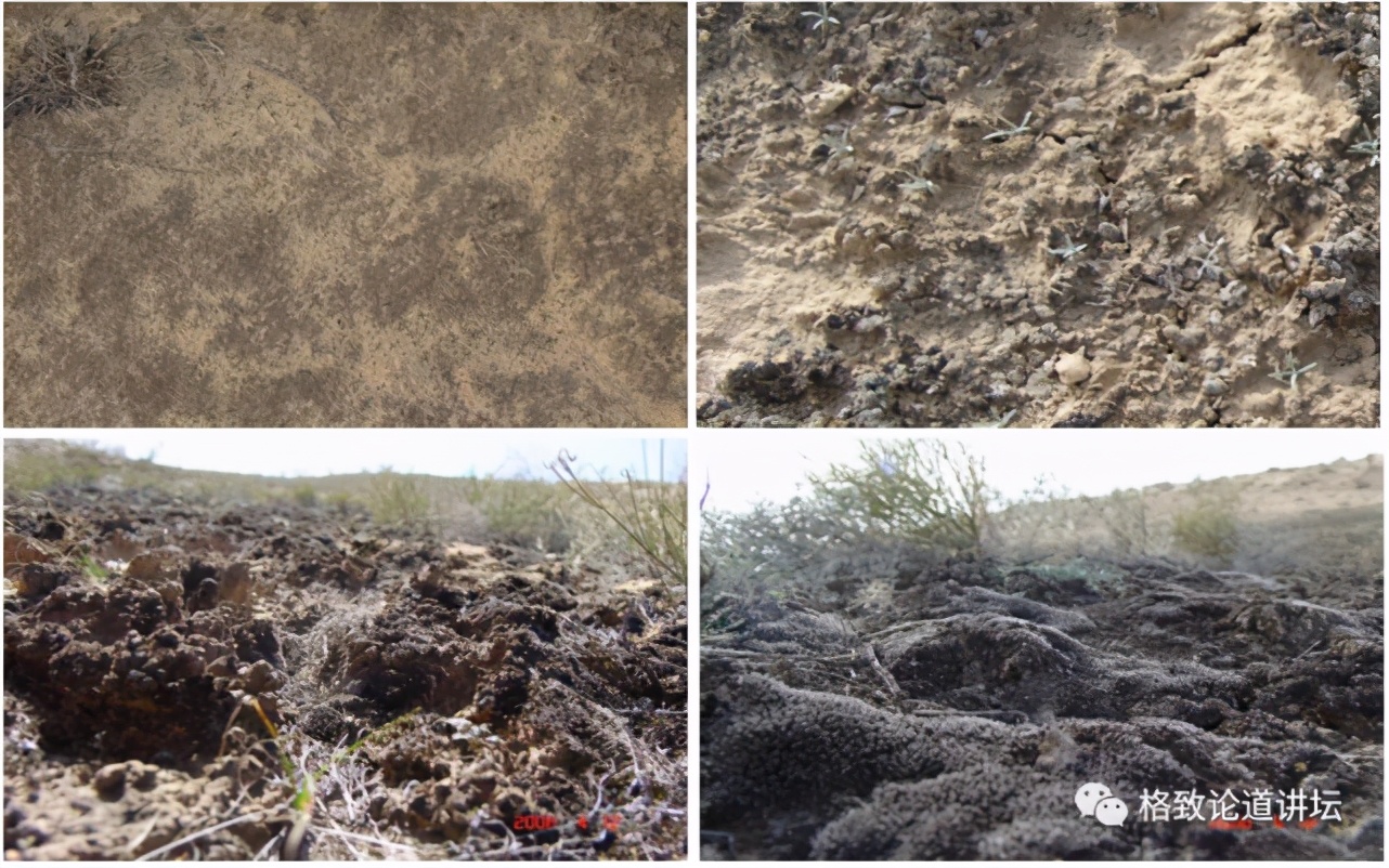 How to treat "skin disease" in the desert? - iNEWS