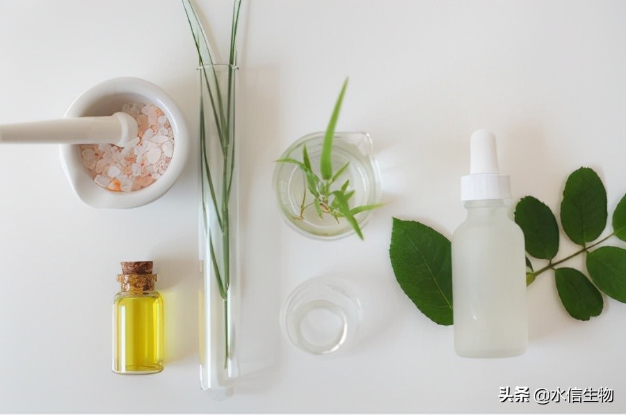 The effect of different active peptides on the skin - iNEWS