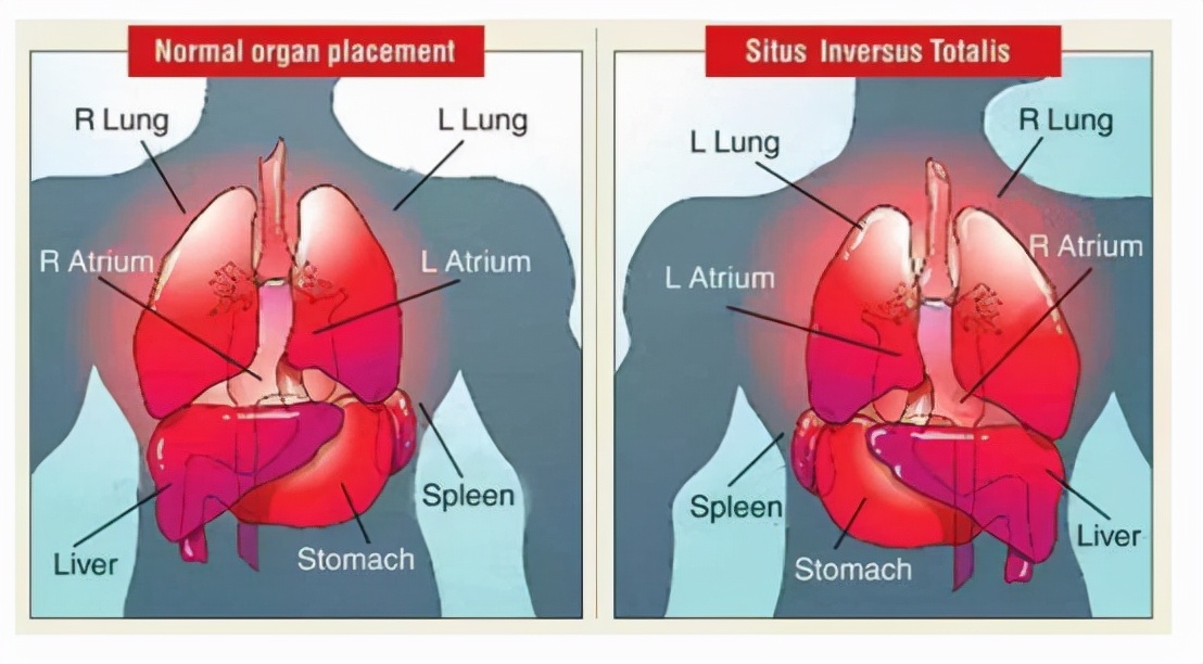 A "mirror person" appeared in Wuhan. No doctor dared to treat the ...