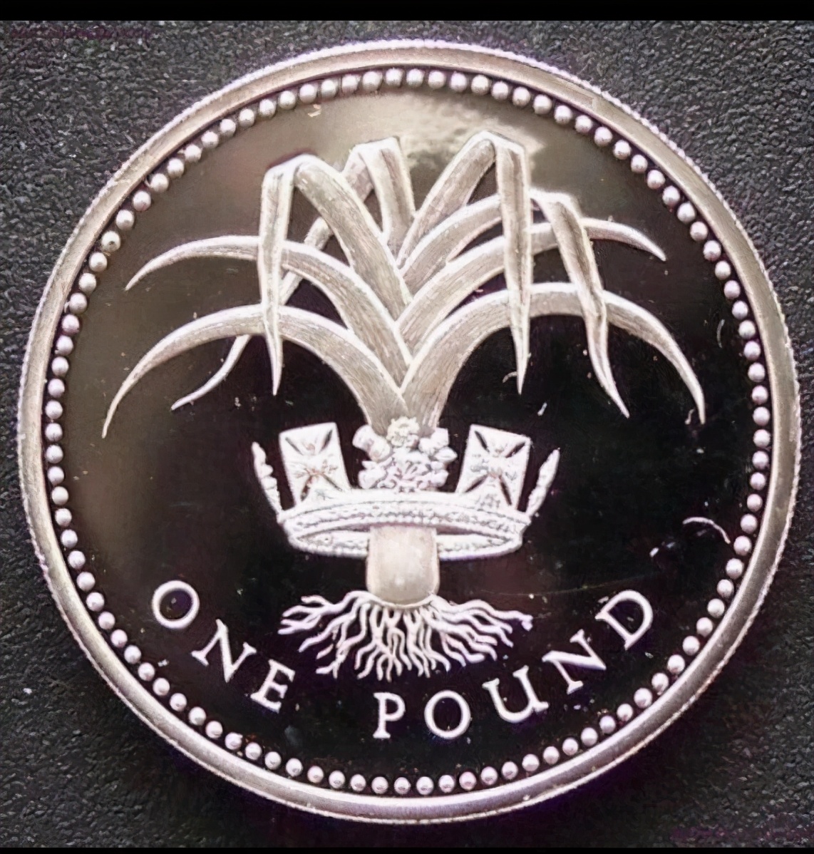 Welsh Leek Brooch: Charles's status symbol, Diana likes it very much ...