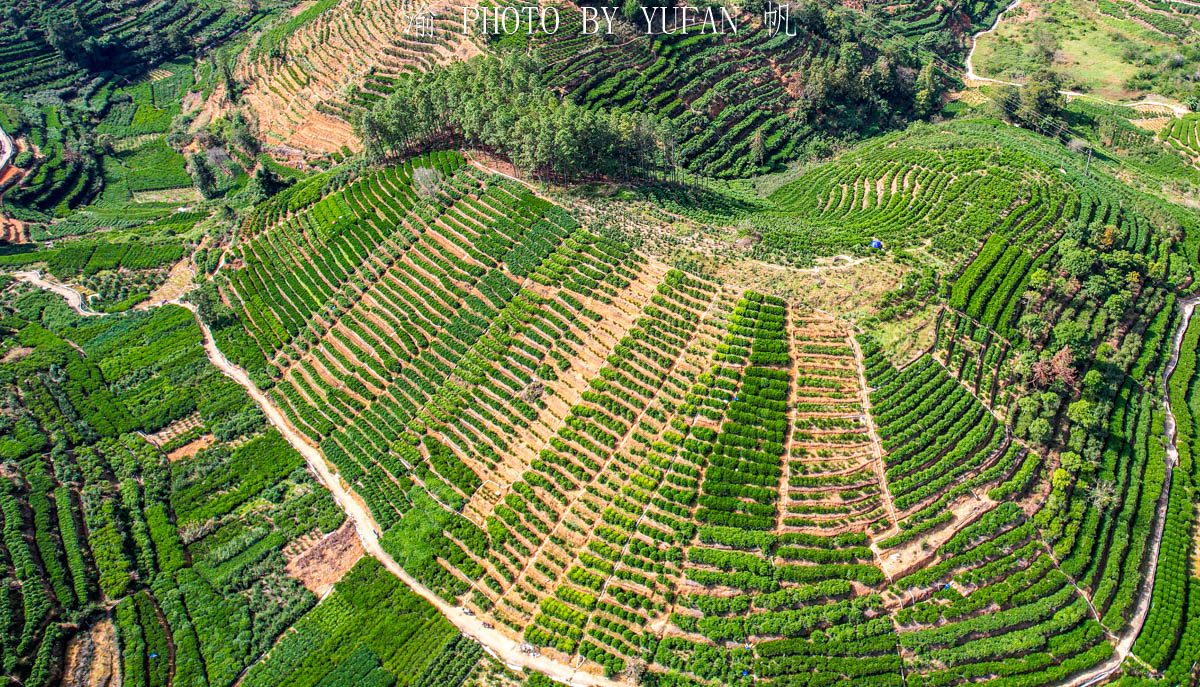The low-key No. 1 mountain in eastern Guangdong, the mountains are full ...