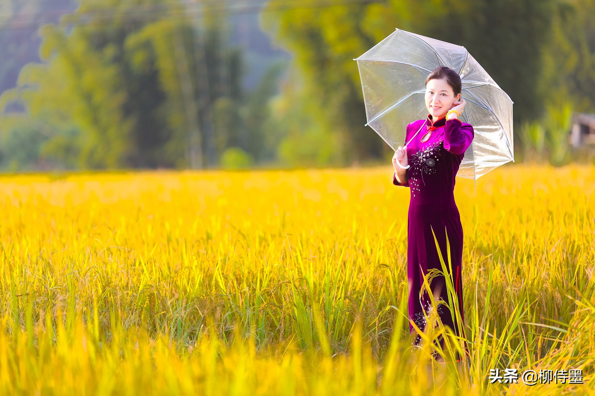 To take photos of elegant and graceful ladies, choose a good background ...