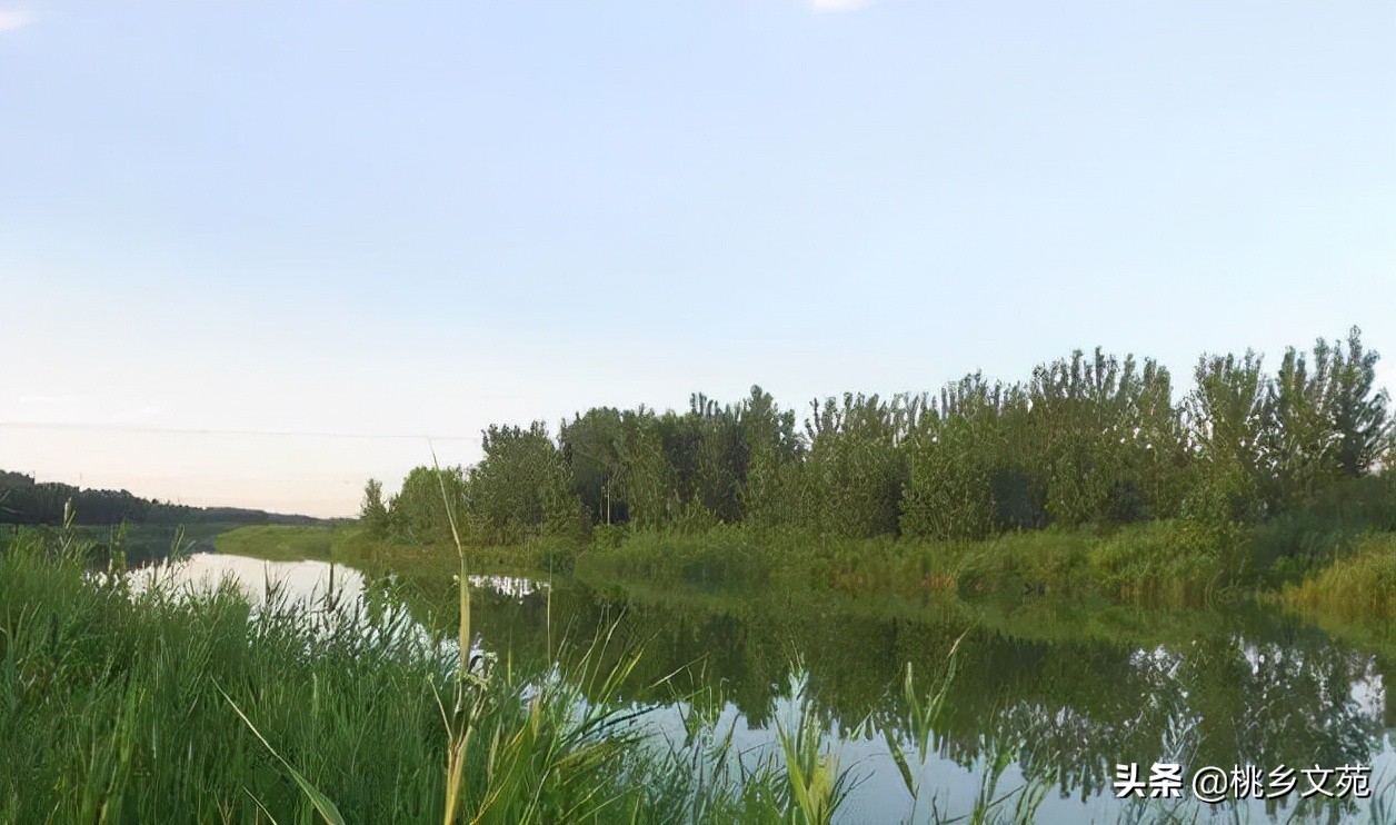 "Poetry" Wang Qingji: Antiquity • Bushan is also waterlogged (a poem ...