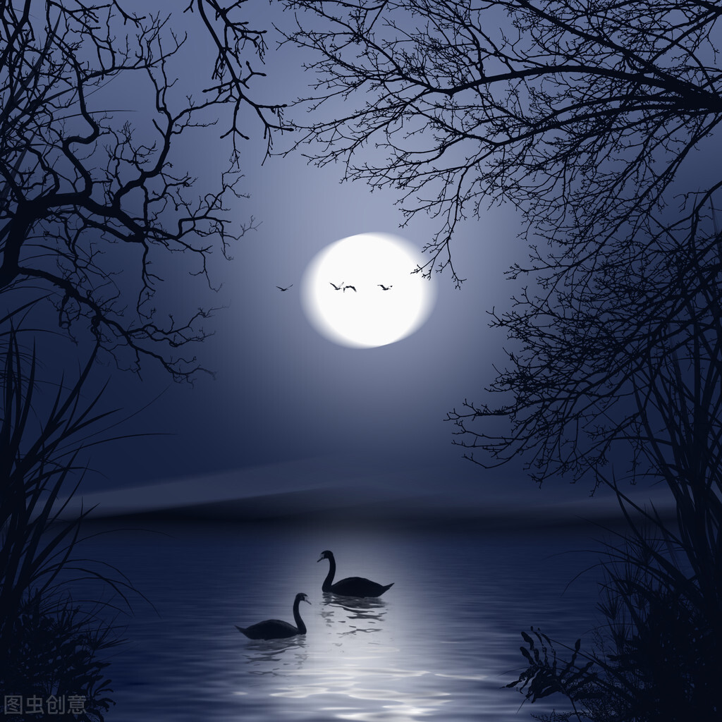 The most beautiful pure music in history: Bandari's "Moonlight ...