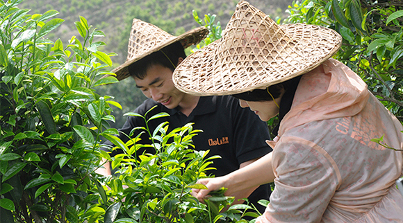 ChaLi Tea: Look at this woman with Lipton who has just been born three ...