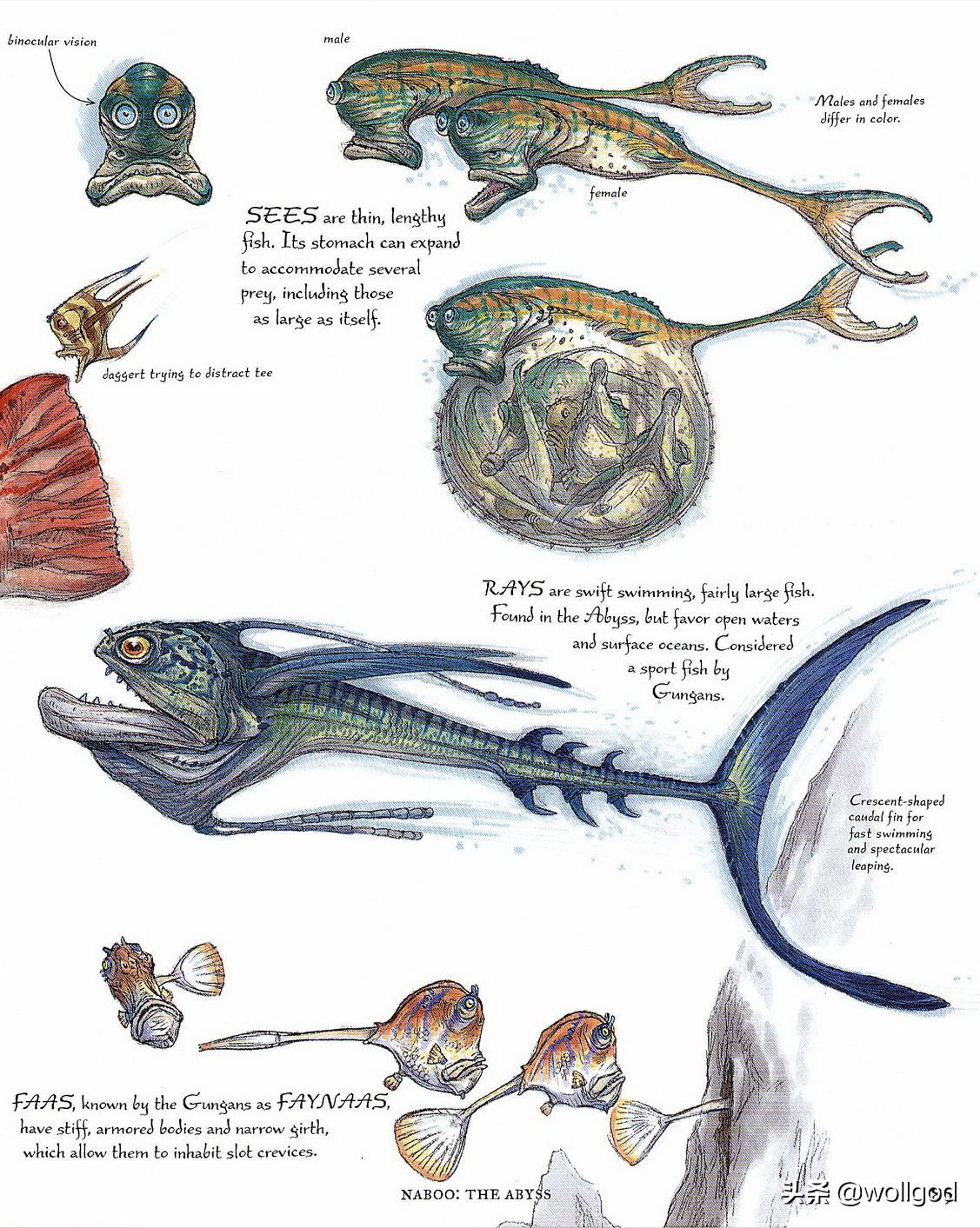 Biological reorganization!Creature design in "Star Wars", strange and ...