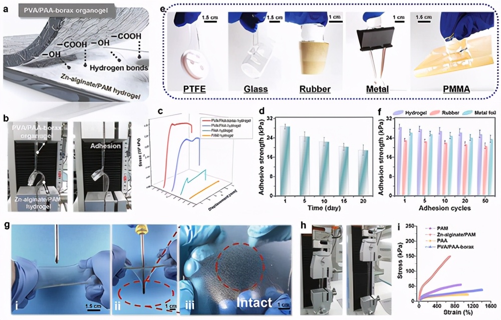 Ultra-stable, dynamic ultra-tough hydrogel-organogel capacitive strain ...