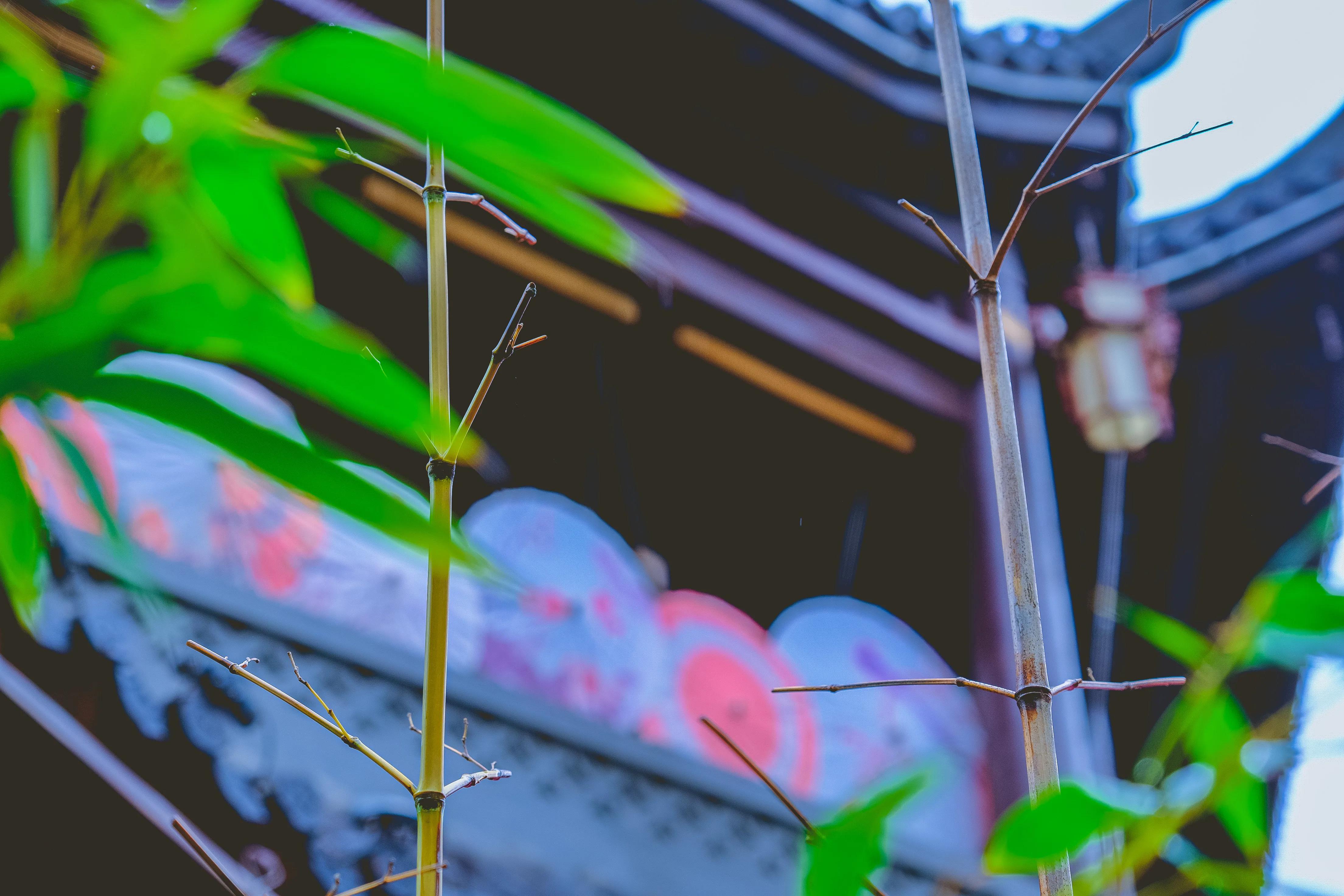 Handan Fangte National Color Spring and Autumn Theme Park, fun and ...