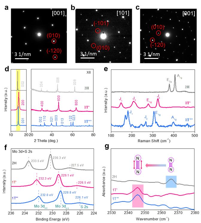 Electron localization of metastable molybdenum disulfide promotes ...