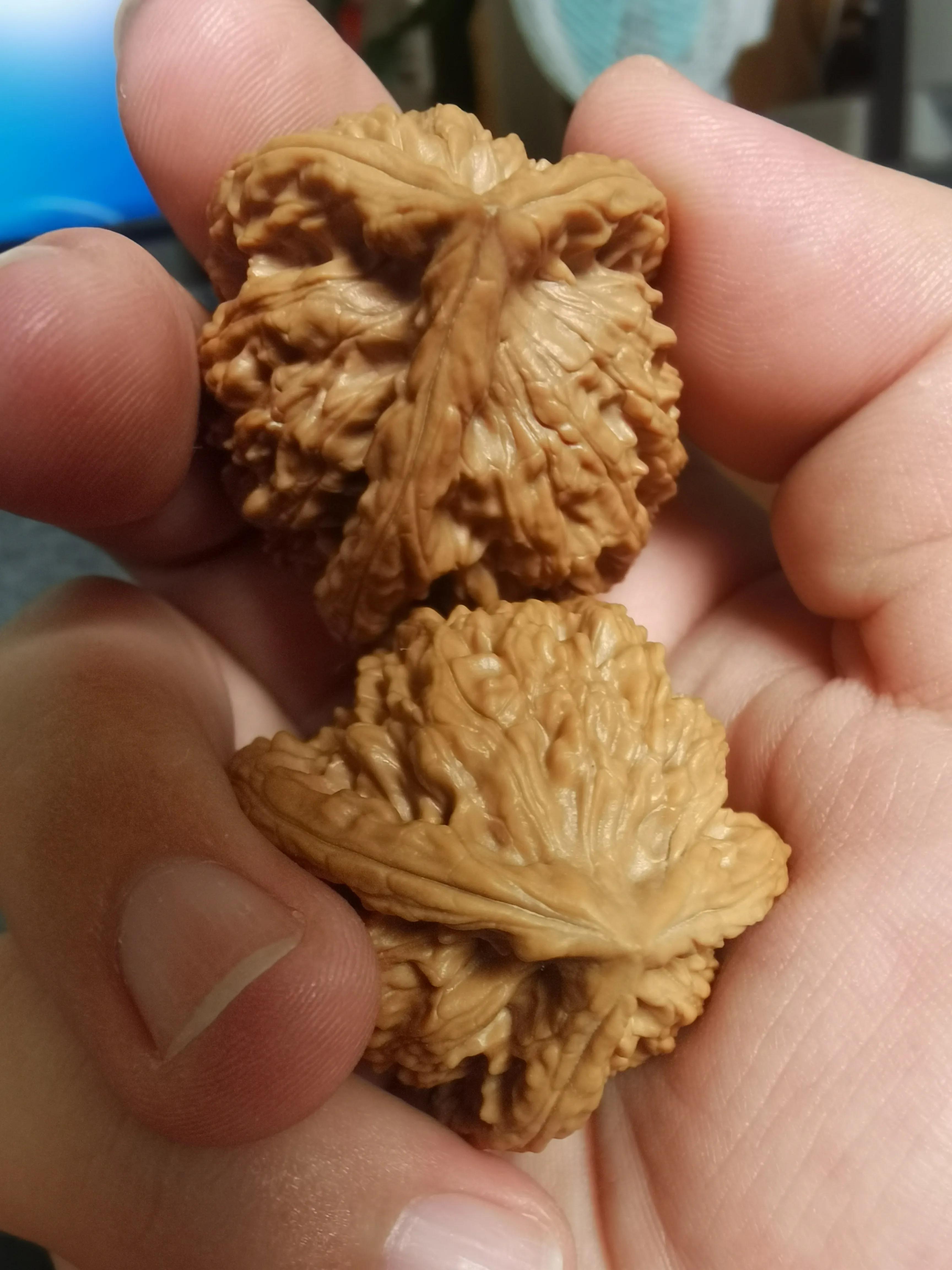 The neglected Wenwan Walnut-Xiayunling Lion Head - iMedia