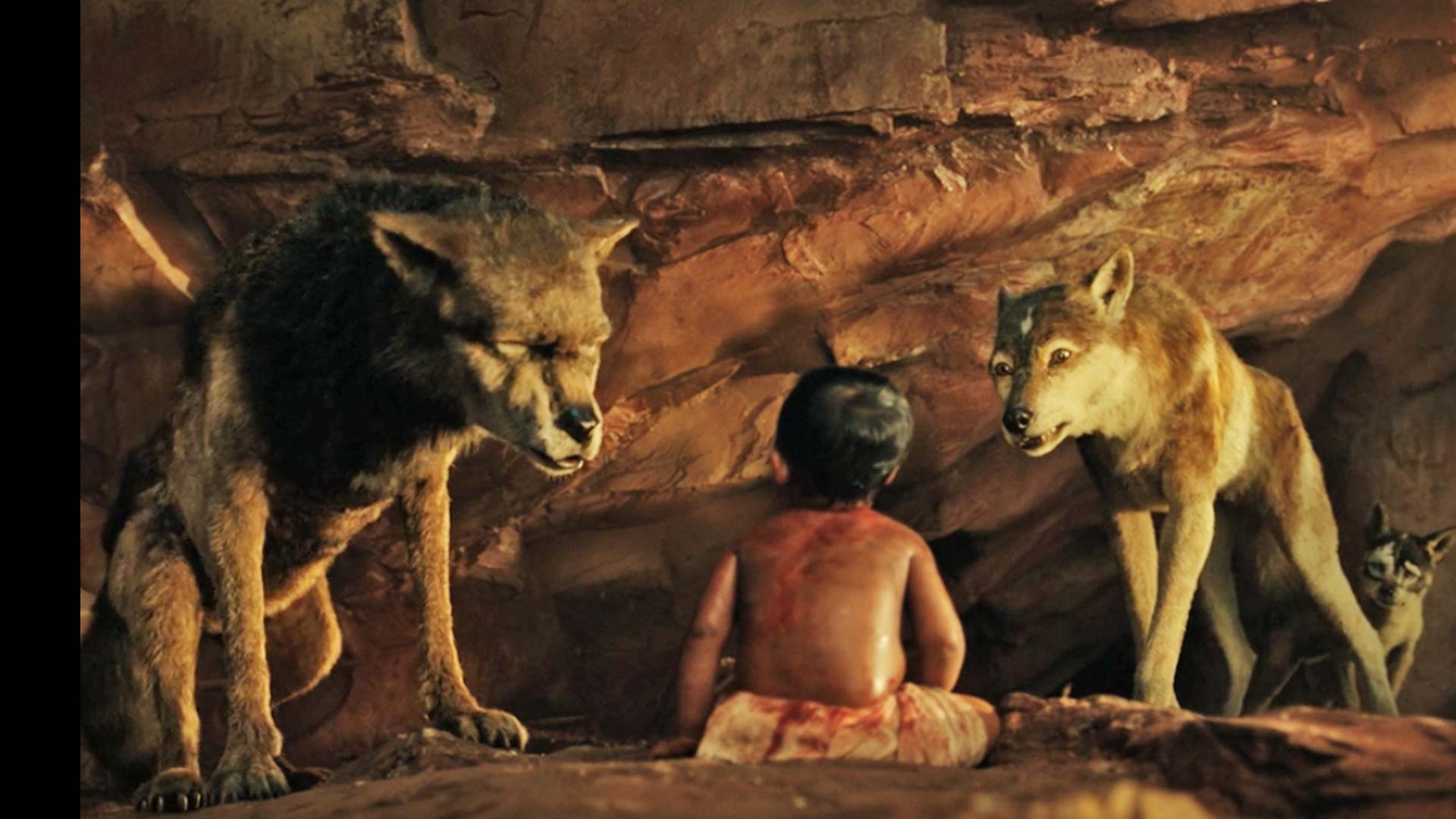 Why do wild wolves raise human babies and let them become wolf children ...