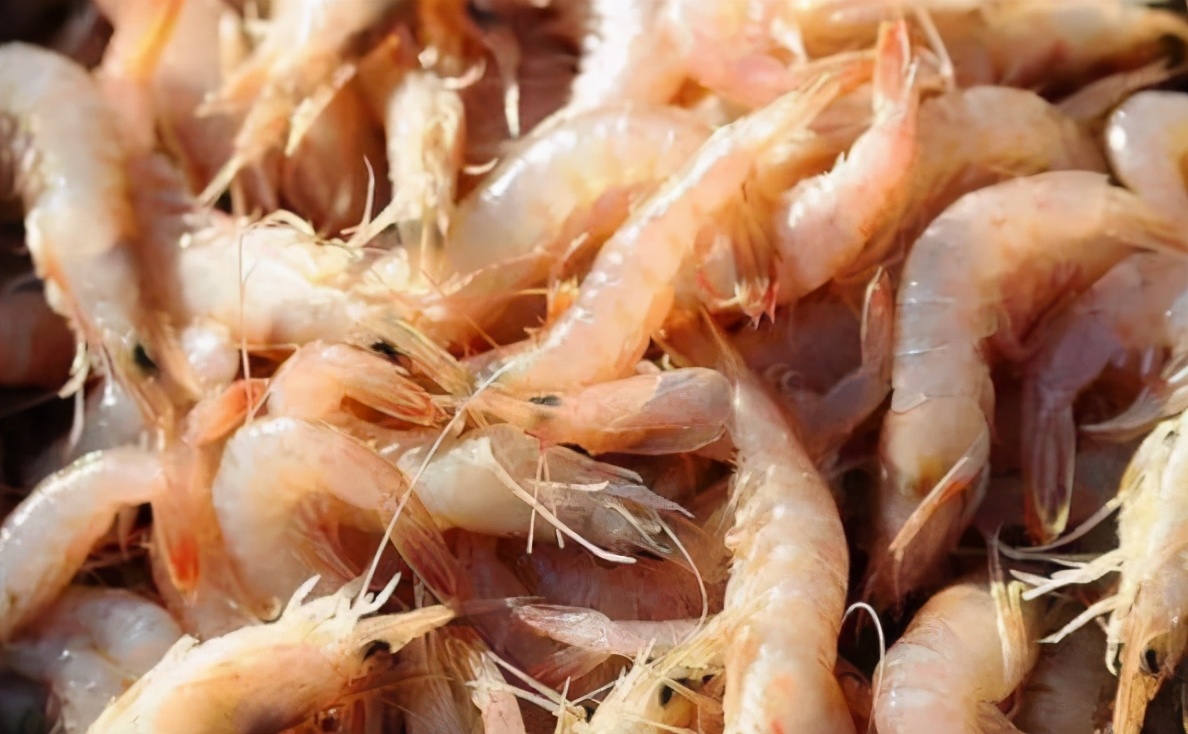 Why do shrimp heads always turn black when making boiled shrimp? Master ...